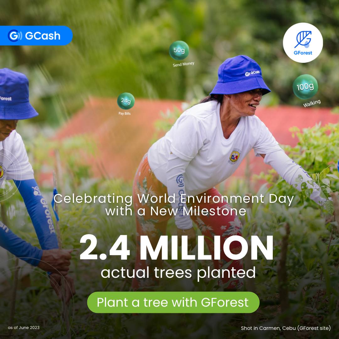 GForest celebrates World Environment Day with 2.4 million trees planted ...