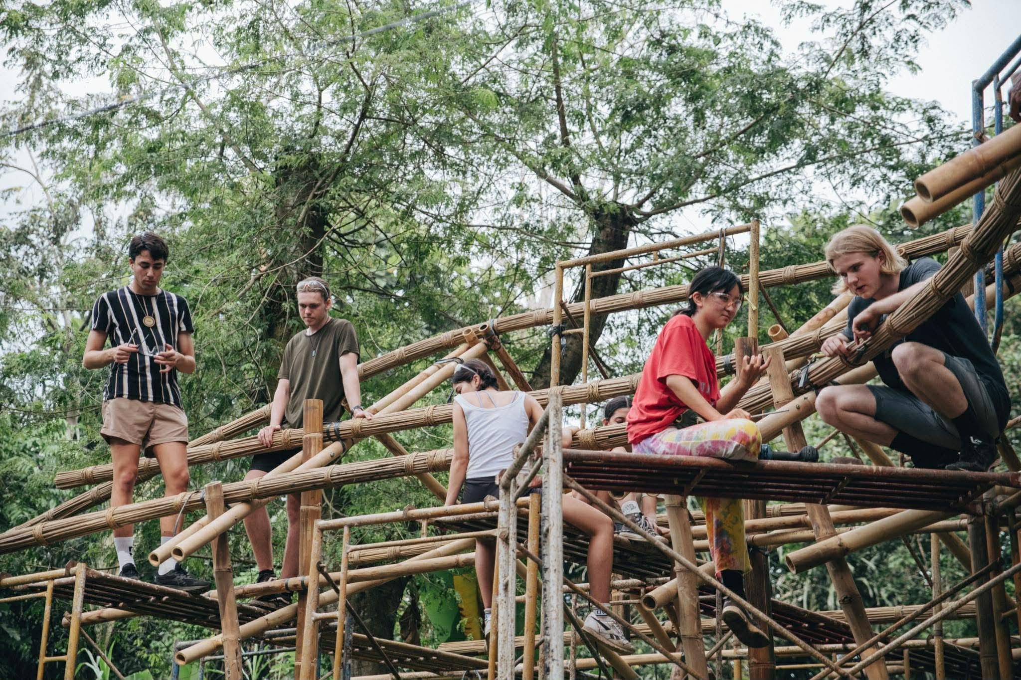 A Global Call to Build Better Homes with Bamboo: BASE and Bamboo U ...